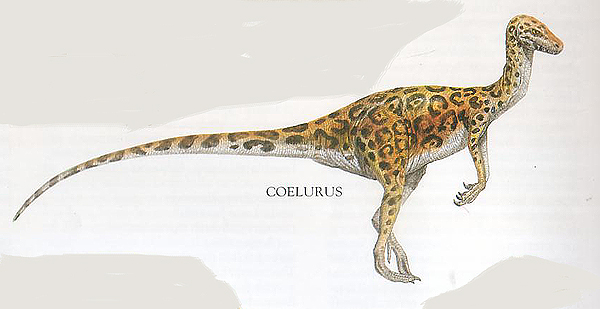 coelurus #43818 - uludağ sözlük galeri